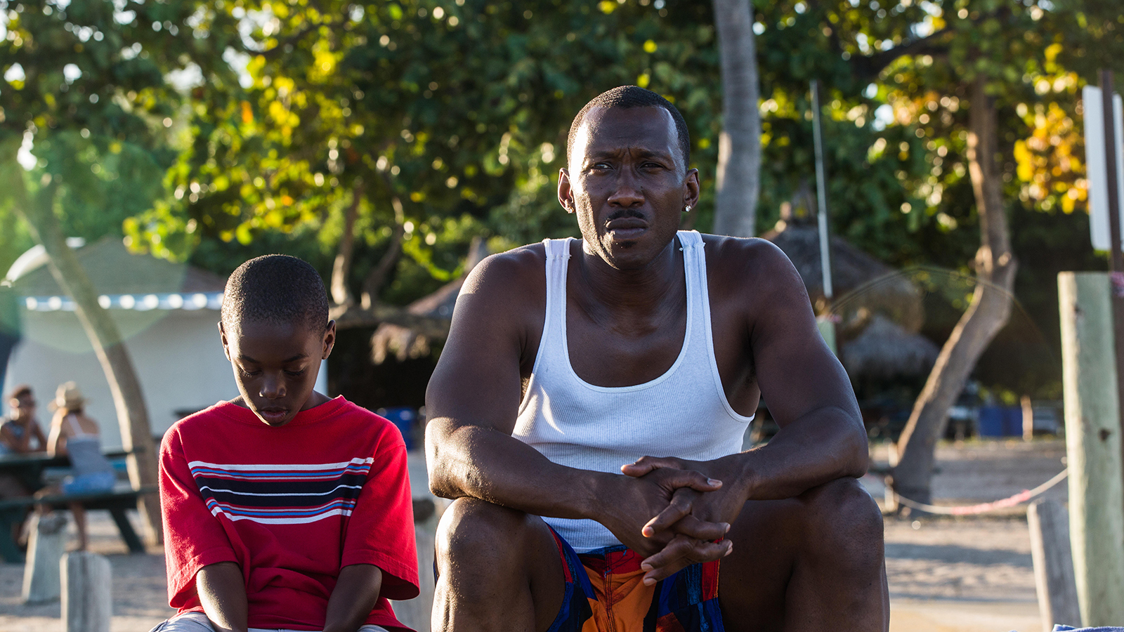 Moonlight | Special (2016)